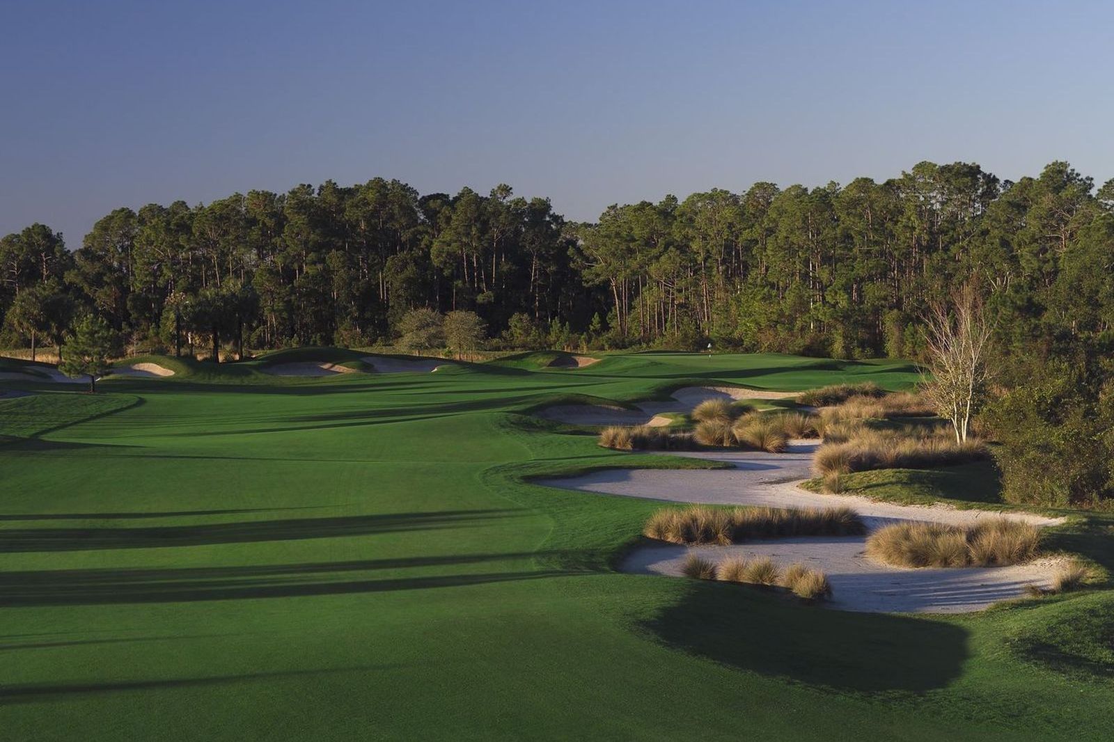 Tournaments - Harmony Golf Preserve