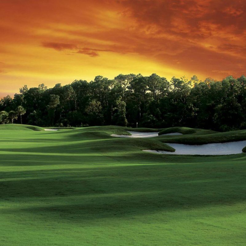 Gallery - Harmony Golf Preserve